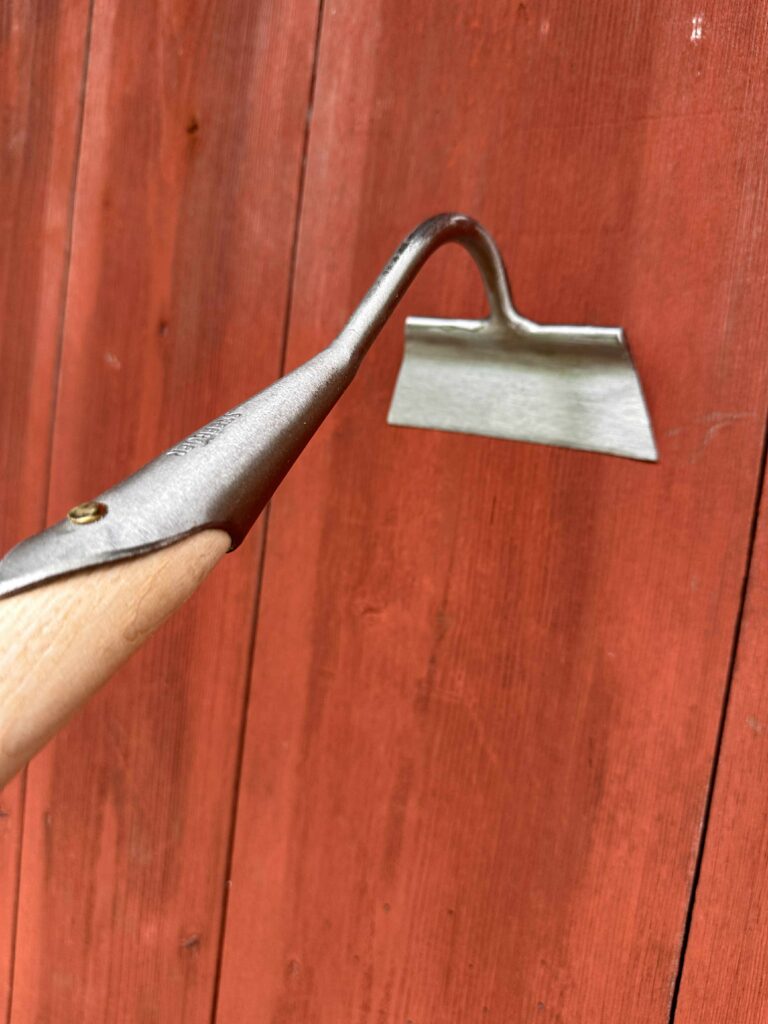 Kõblas igaveseks 12,5cm - PALUSALU AIAD